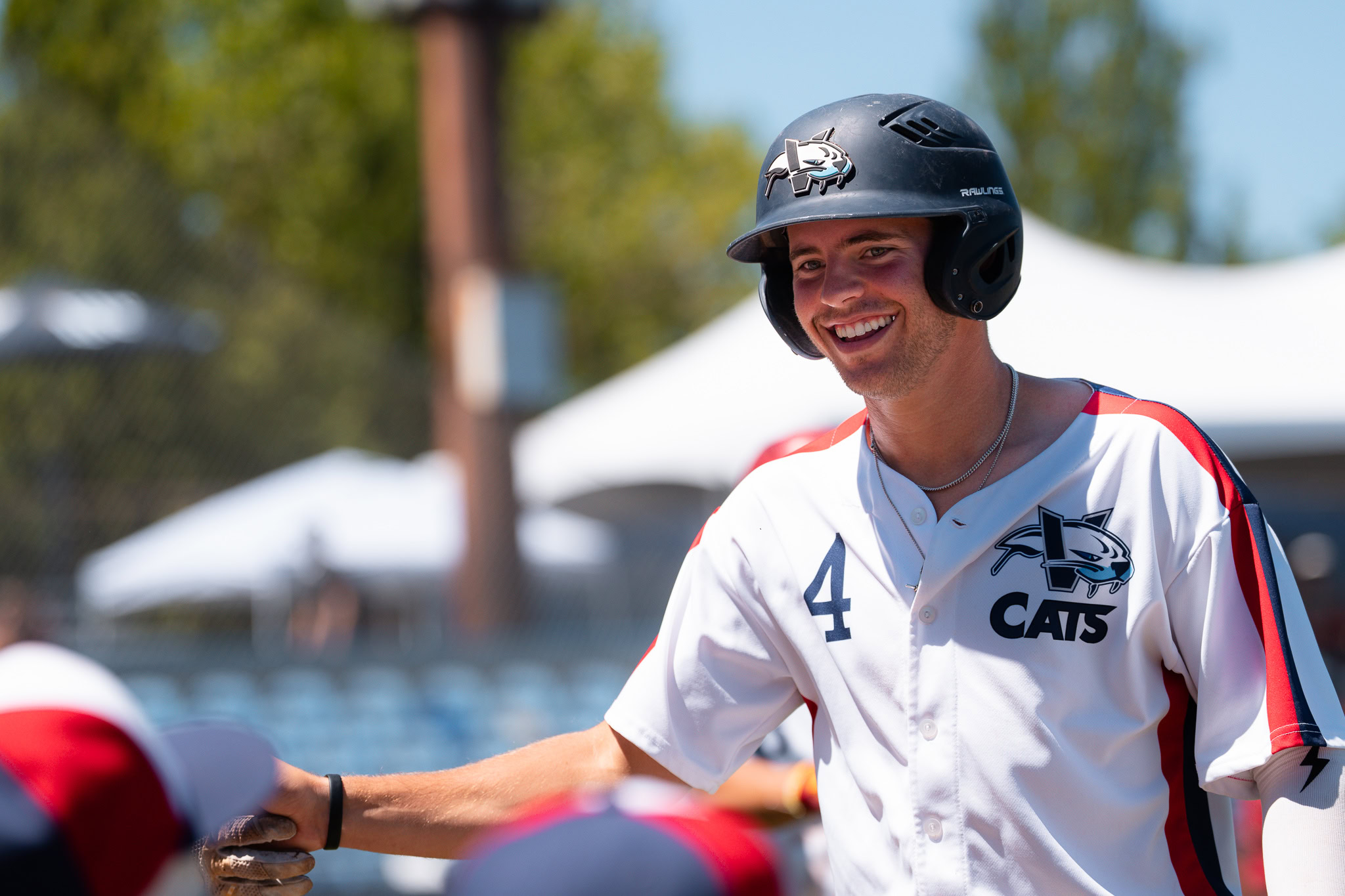Cats Win Series with 14-7 Victory – 2025 Program